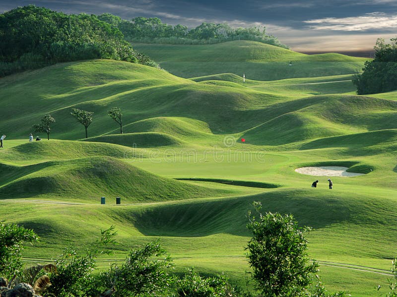 St. Bernard dog stock image. Image of nature, animal, alps - 9121825