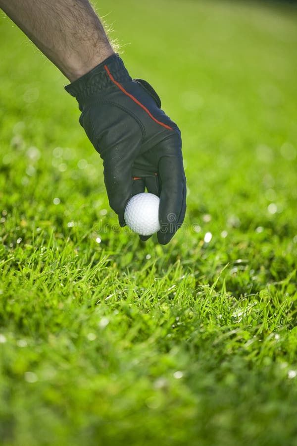 Golf play stock image. Image of golfer, field, club, competition - 24579801