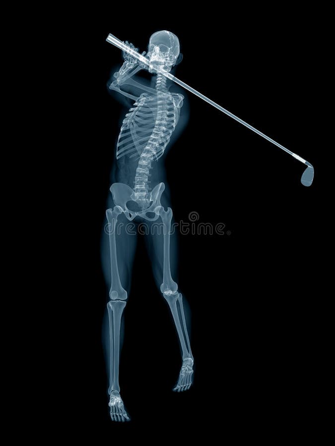 The Skeleton of a Golf Player Stock Illustration - Illustration of ...