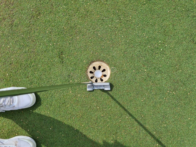 Golf Player with Putter and Ball in Hole on Green Stock Photo - Image ...
