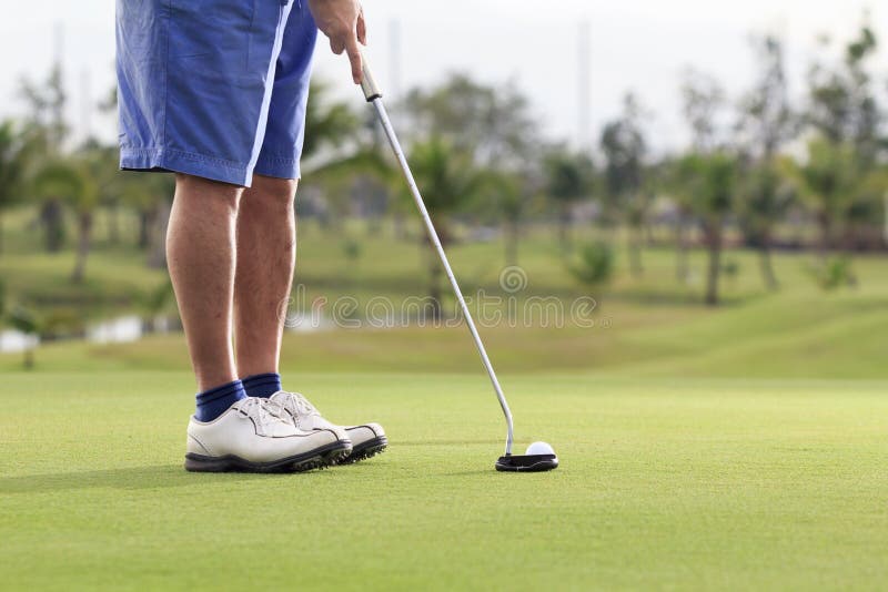 Golf Player Putting on the Green Stock Image - Image of game, club ...