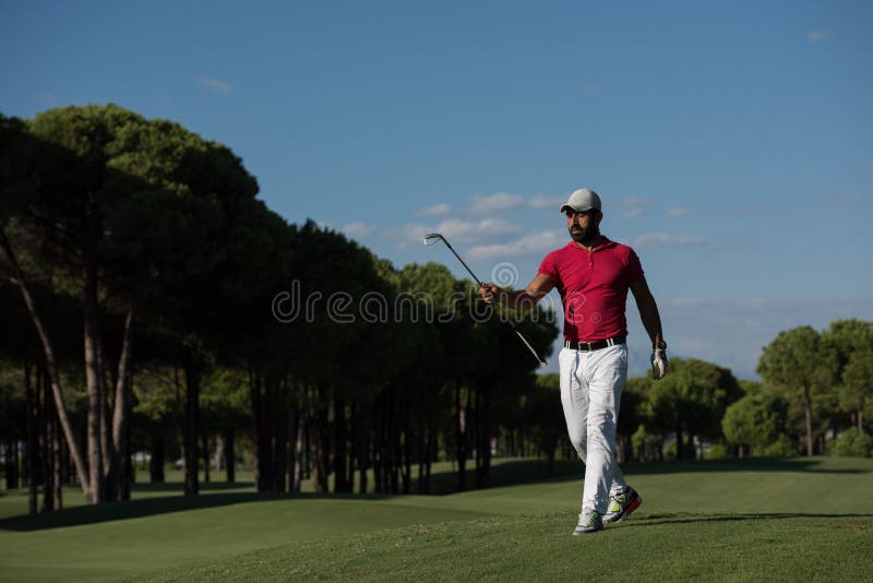 Golf Player Walking and Carrying Driver Stock Image - Image of clubs ...
