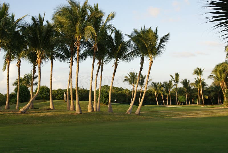 Golf playground stock image. Image of caribbean, vacation - 22918043