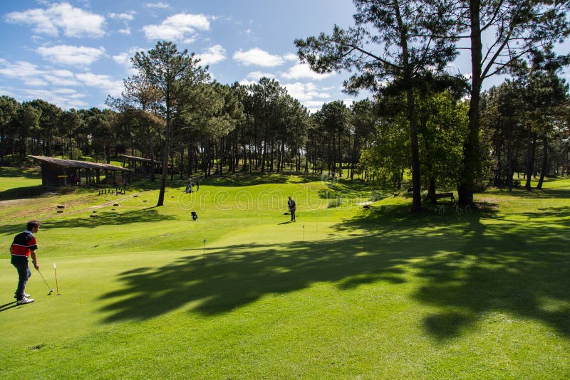 Golf Practice and putting editorial stock photo. Image of practice ...