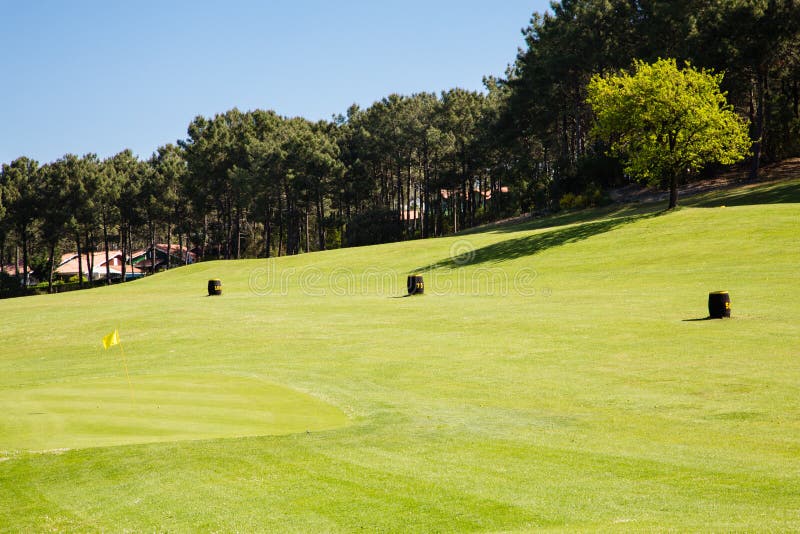 Golf practice stock photo. Image of green, blue, gesturing - 31296104