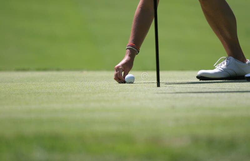 Golf putting stock photo. Image of sunshine, drive, swing - 2901426