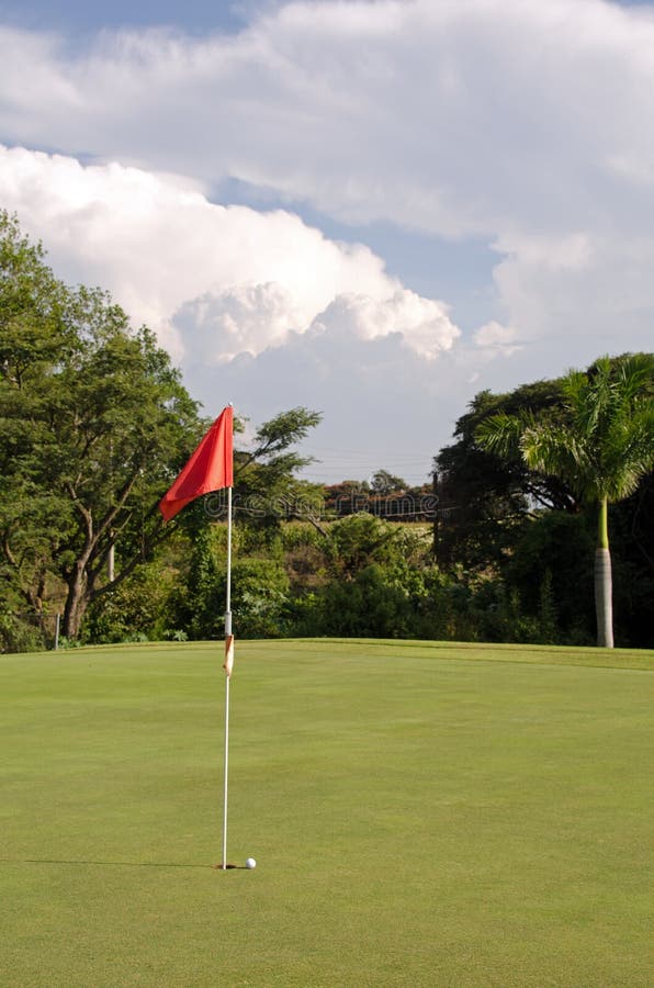 Golf putting green stock image. Image of putt, green - 34348453