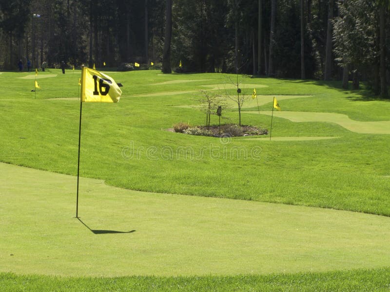 Golf putting range stock image. Image of recreation, green - 8387851