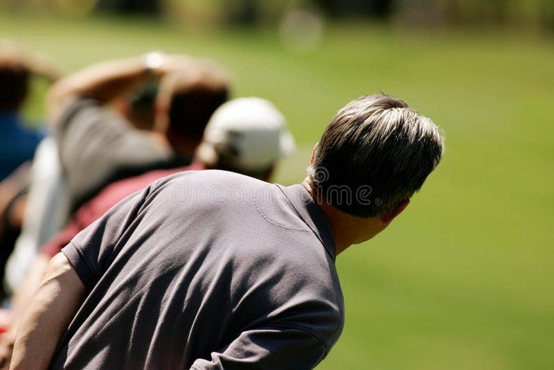Golf Spectator Waits for the Ball Stock Image - Image of selective ...