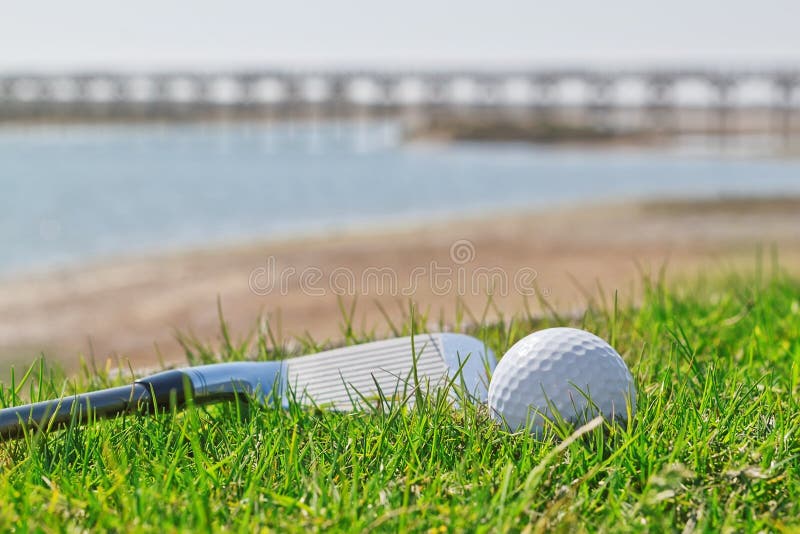 925 Green Woden Background Stock Photos - Free & Royalty-Free Stock ...