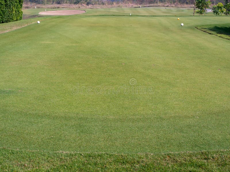 Golf tee off stock photo. Image of golf, competition - 65597710