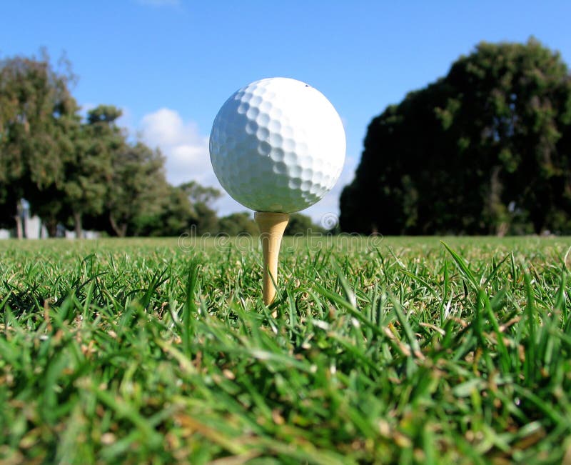 Golf Tee Shot stock image. Image of trees, golf, putt, grass - 153645