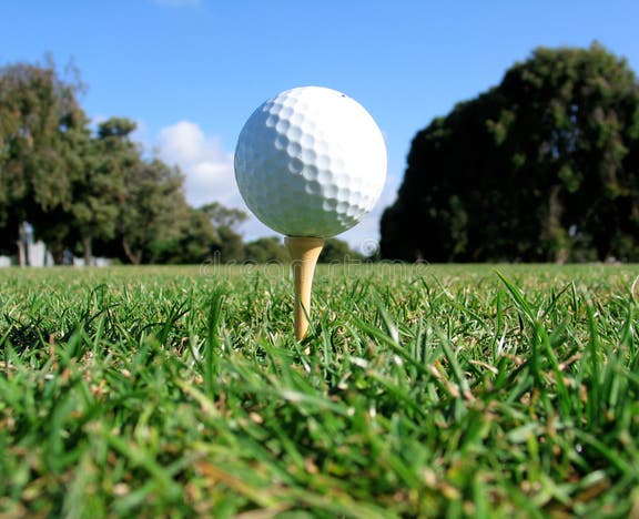 Golf Tee Shot stock image. Image of trees, golf, putt, grass - 153645