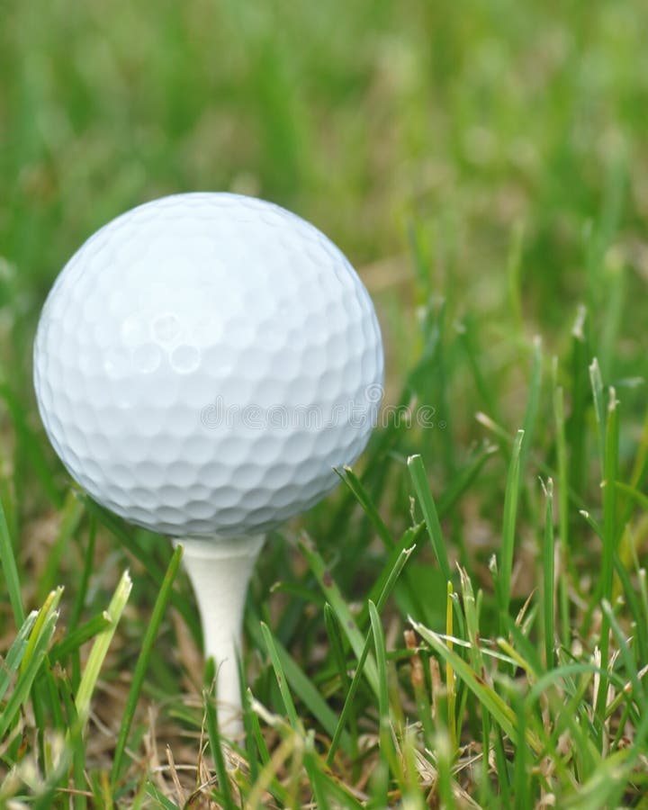 Golf tee three stock photo. Image of green, sport, golfing - 2538116