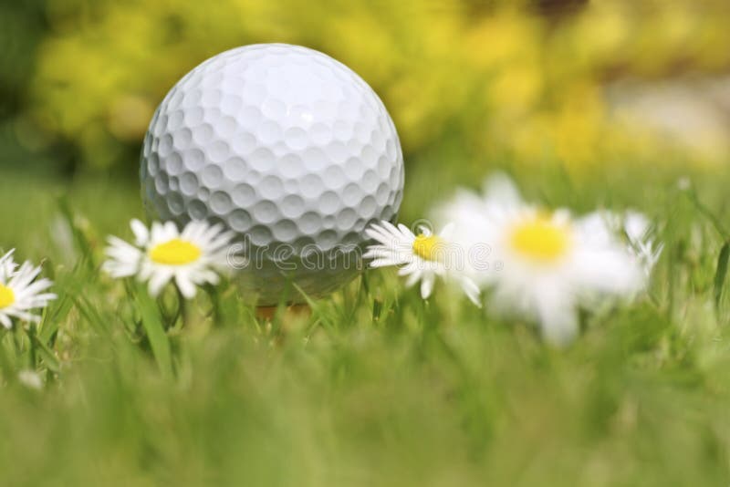 Golf time stock photo. Image of pursuit, daisies, grass - 5107996