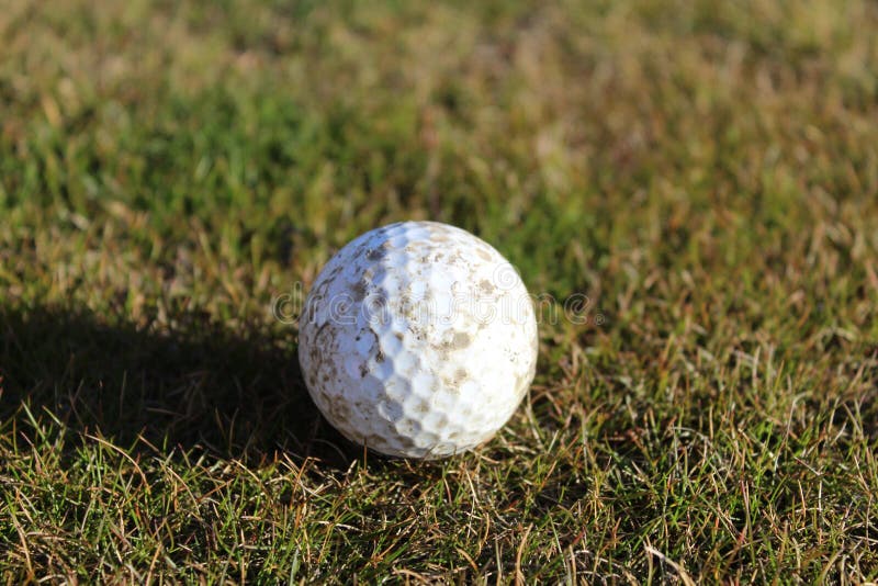 Golf ball on grass stock photo. Image of compete, hobby - 175140552