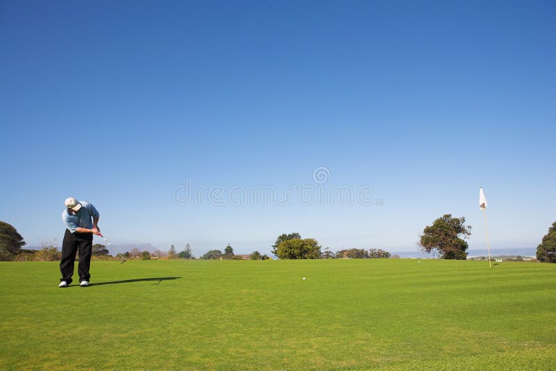 Hitting the bal stock photo. Image of golf, grass, stroke - 98170