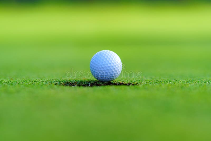 Golfer Putt Golf Ball into Hole on the Green at Golf Course Stock Image ...