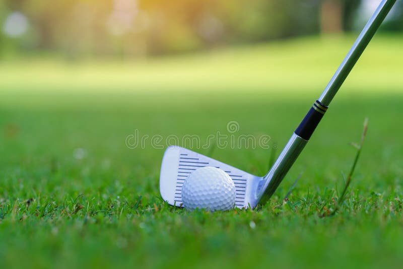 Golfer Putt Golf Ball into Hole on the Green at Golf Course Stock Photo ...