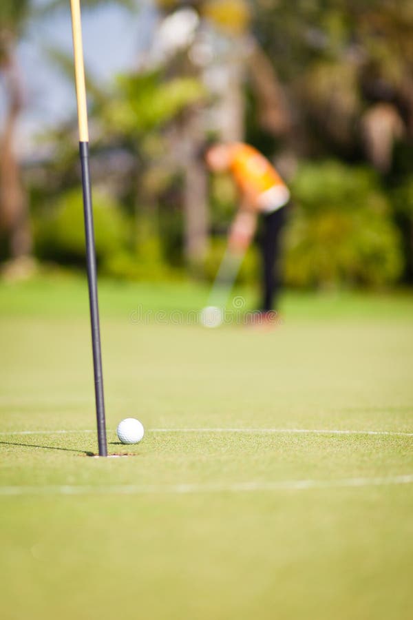 Golfer Putting stock photo. Image of caucasian, aiming - 12666480