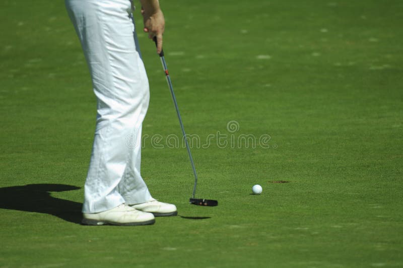 Golfer putting a golf ball stock photo. Image of putt - 7097502