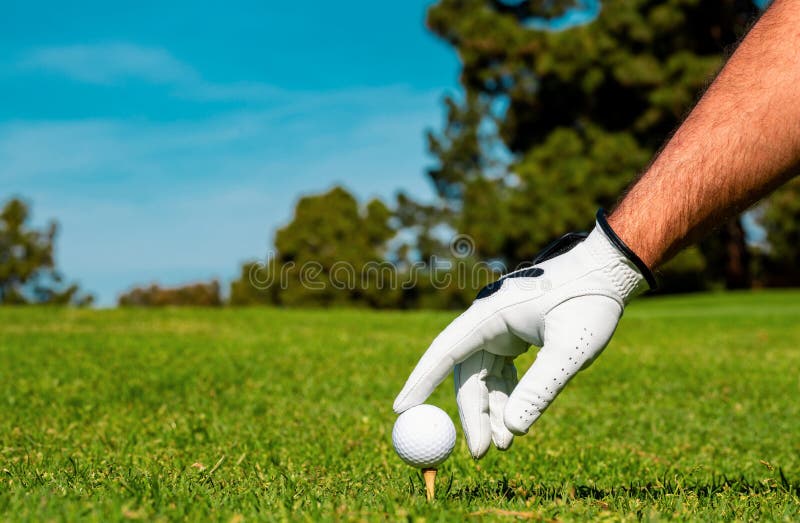 Golfer Putting Golf Ball on the Green Golf. Golfer Man with Golf Glove ...