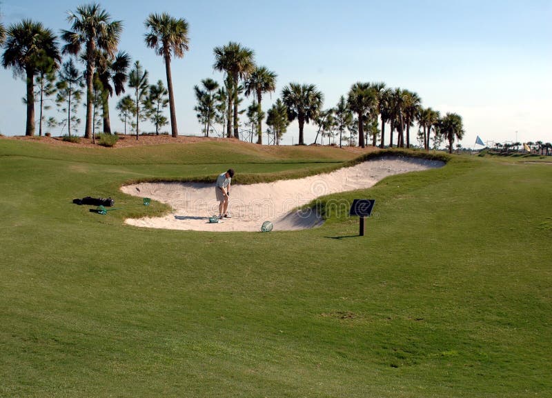 Golfer in a Sand Trap stock photo. Image of palm, trees - 486306