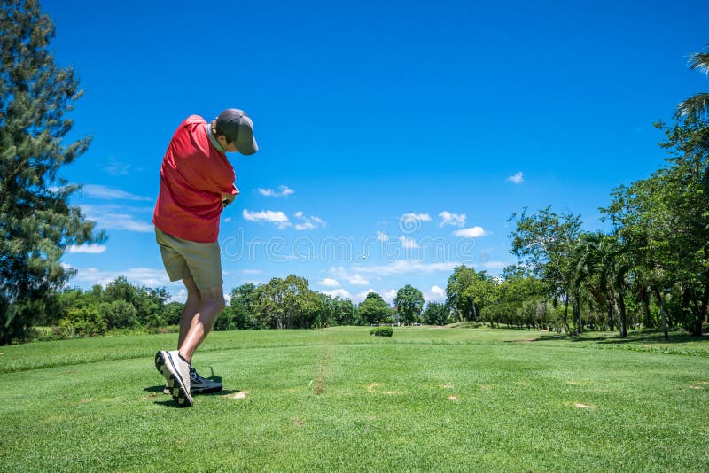 Golfer tee off stock image. Image of court, exercise - 95025203