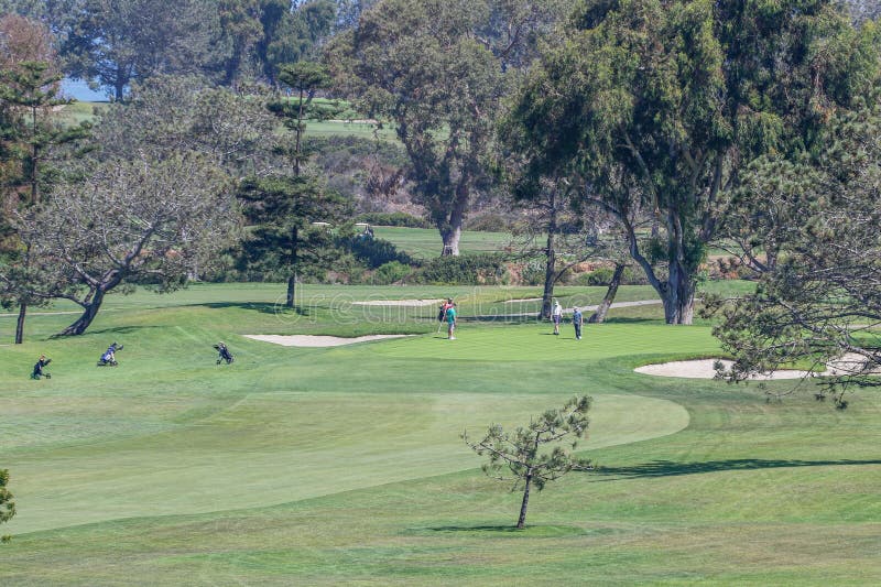 Golfers on a Sunny Golf Course Stock Photo - Image of swing, nature ...