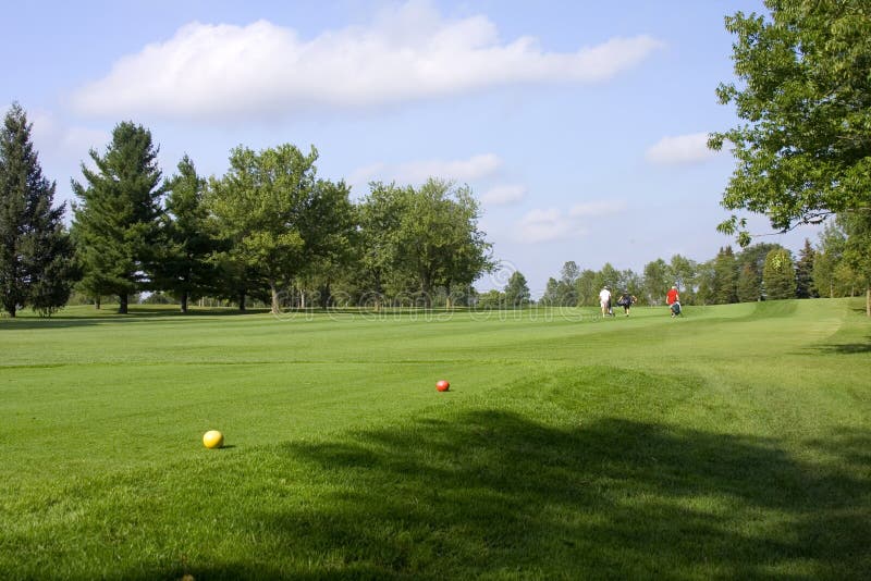 Golfers Walking the Course stock photo. Image of fairway - 8704176