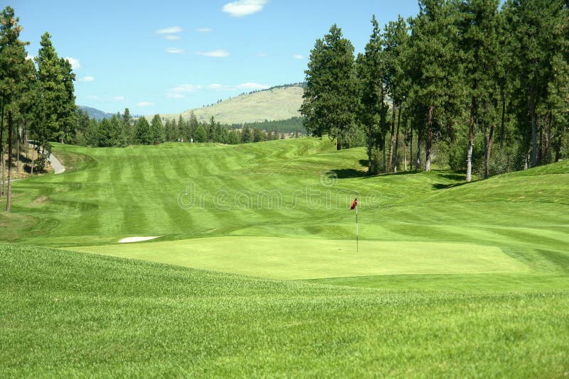 Perfect Golf Course stock image. Image of greens, birdie - 6364191