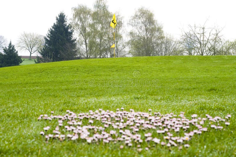 Golfing stock photo. Image of birdie, fairway, bunker - 5042846