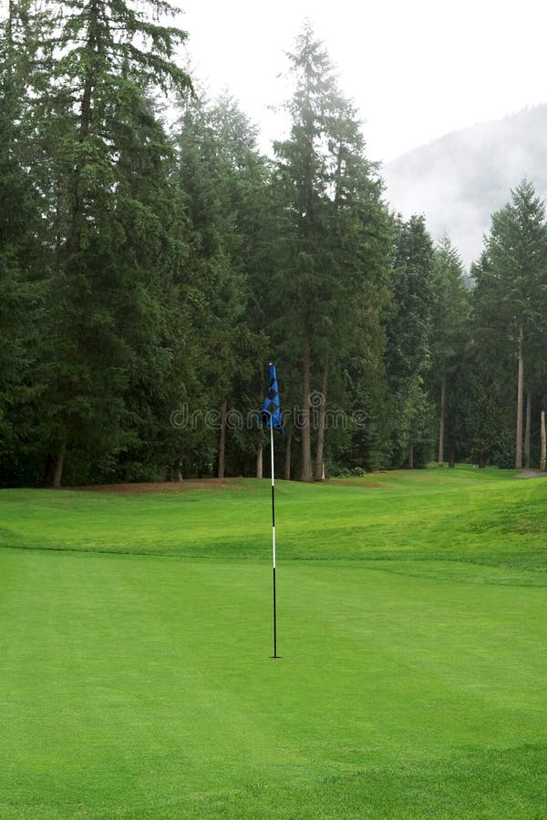 Golfing Golf Course stock image. Image of columbia, british - 65000079