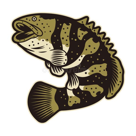 Goliath grouper vector stock vector. Illustration of wing - 229350648