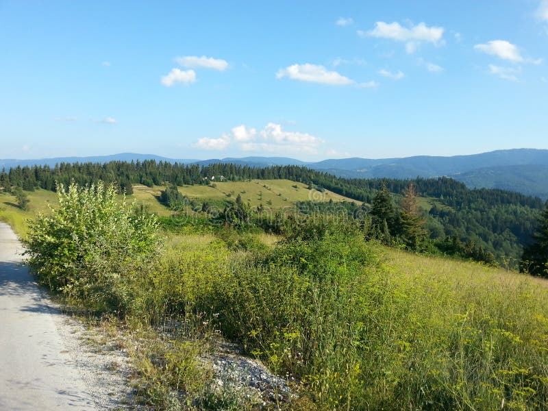 Golija, Serbia stock image. Image of ecoregion, ecosystem - 89603225