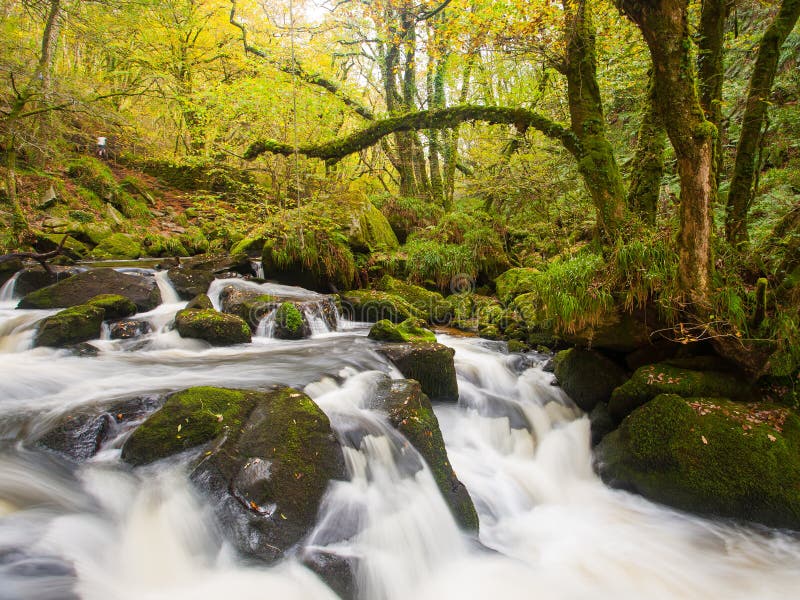 Golitha Falls Cornwall England Stock Image - Image of rural, british ...