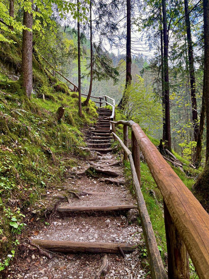 Golling Waterfall Road, Austria Stock Image - Image of forest, plant ...