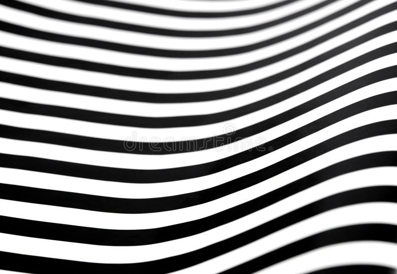 De Twee Witte Strepen Op De Pelts Van Een Stinkdier Stock Foto - Image ...