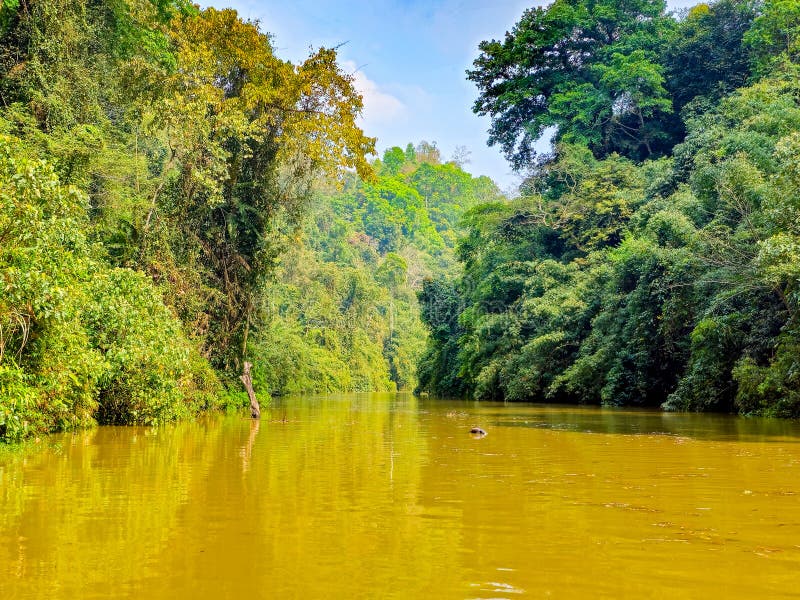 Gomati River is the Architect of the Surreal Landscape of Chabimura ...