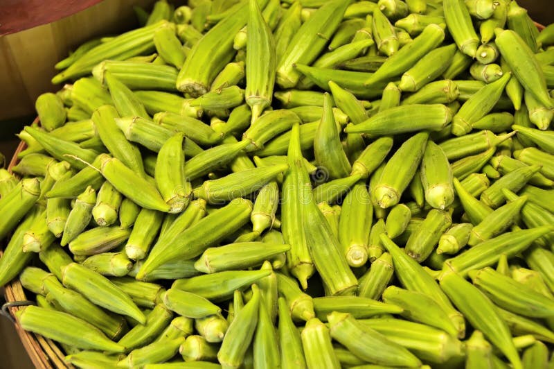 Gombo immagine stock. Immagine di agricoltura, ingrediente - 4600573