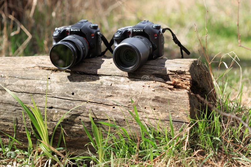 GOMEL, BELARUS - 12 April 2017: Sony Cameras are Lying on a Log. Ready ...