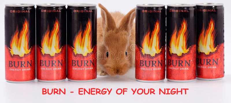 Gomel, BELARUS - March 23, 2023: Rabbit Symbol of the Year and Energy ...