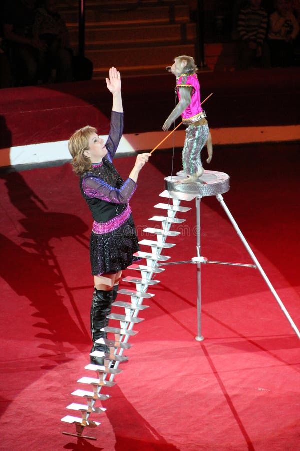 Trained Monkey Walking on Rope with Balance Beam in Gomel Circus ...