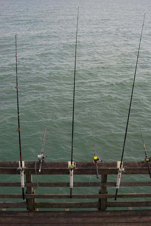 South Carolina Game Anf Fish Stock Photos - Free & Royalty-Free Stock ...