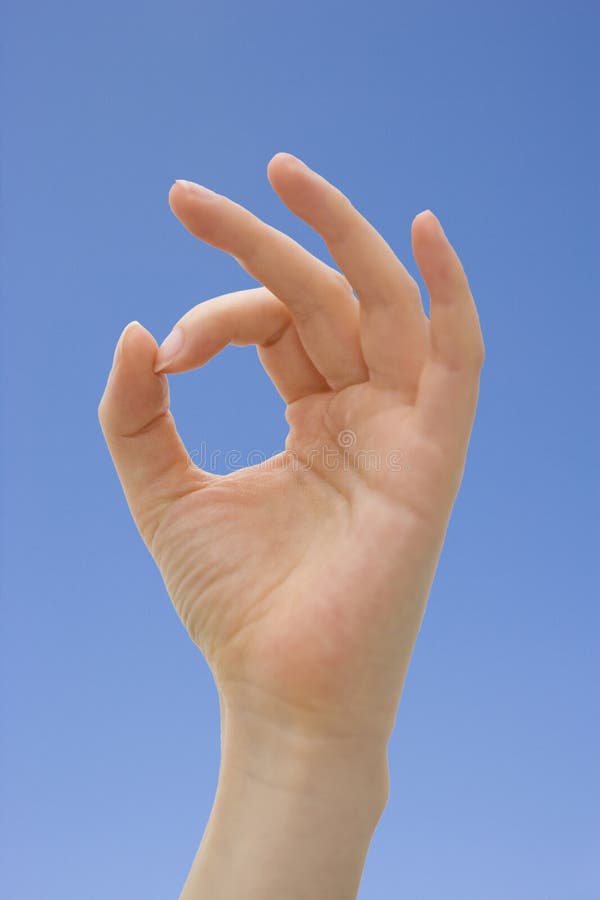 Womans Hand Models Top View Stock Photos - Free & Royalty-Free Stock ...