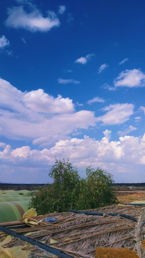 Good Afternoon Everyone. Have a Nice Day Stock Photo - Image of good ...