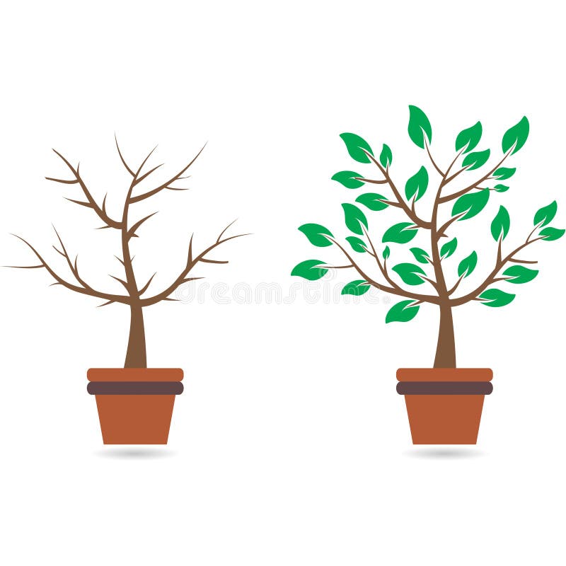 Greenpark Stock Illustrations – 7 Greenpark Stock Illustrations ...