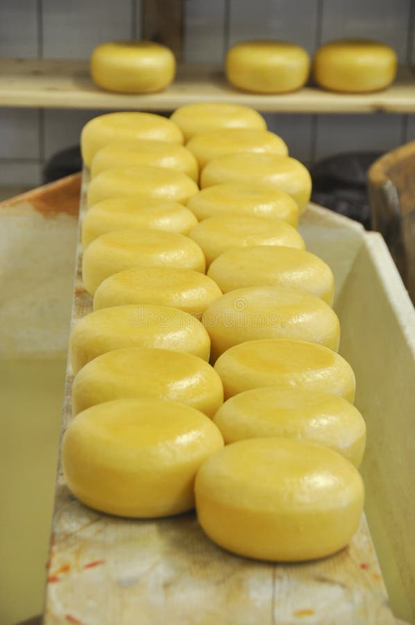 A good cheese stock image. Image of cheese, business - 21196551