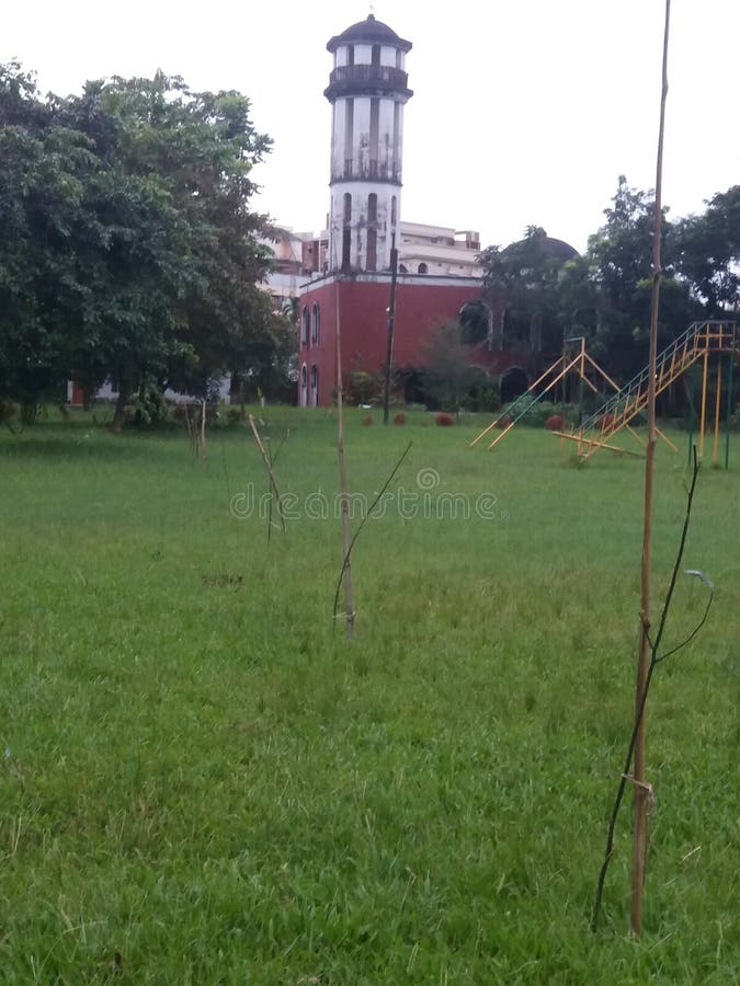 Good Creat Stock Photos - Free & Royalty-Free Stock Photos from Dreamstime