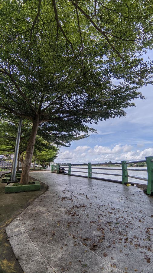 Good Day in the City and River Stock Image - Image of morning, flower ...